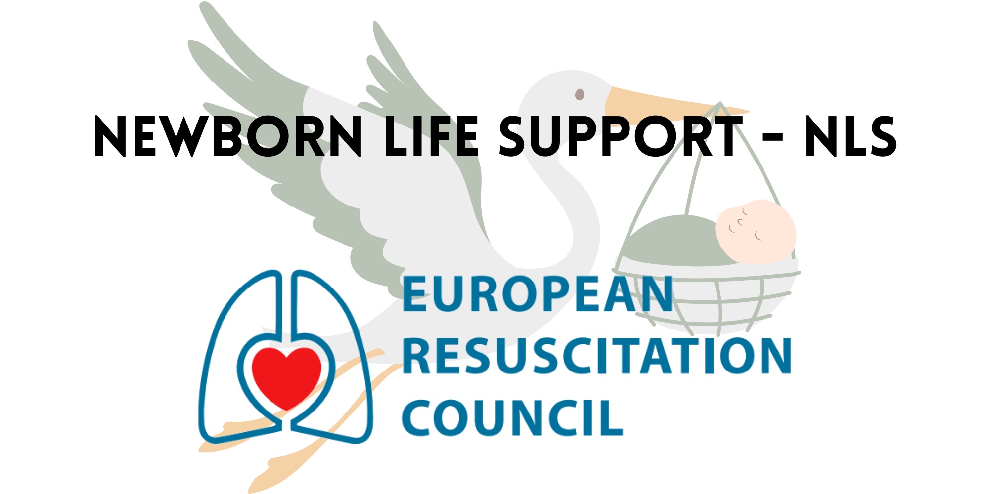 ERC – Newborn Life Support (NLS)